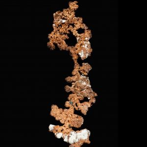 Native Elements – UnderGround Treasures